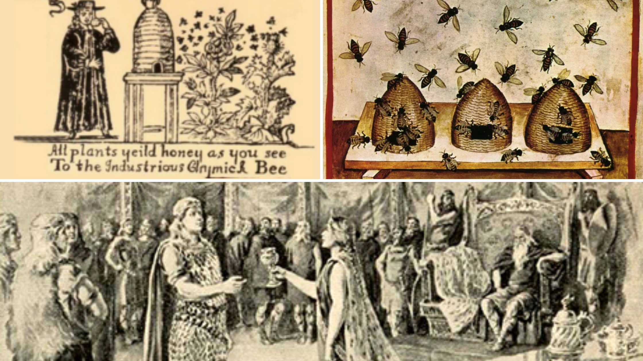 The History of Mead – Ontario Honey Creations
